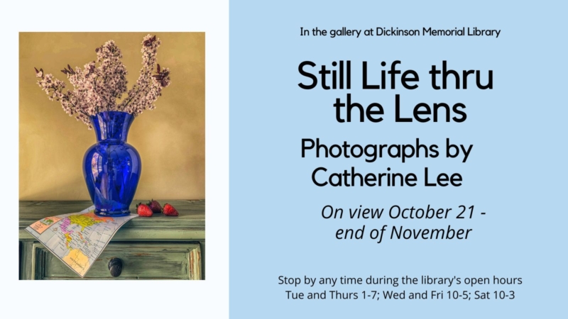 Northfield Public Library – Northfield Public Library Your Place