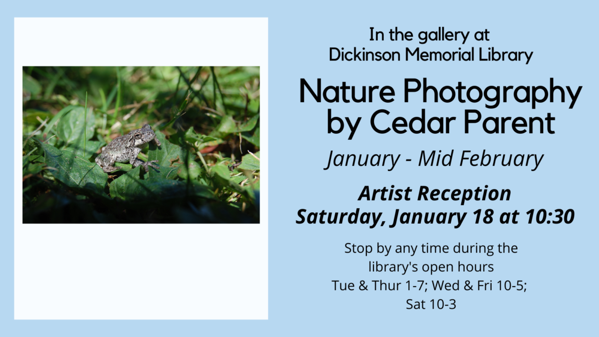 Northfield Public Library – Northfield Public Library Your Place