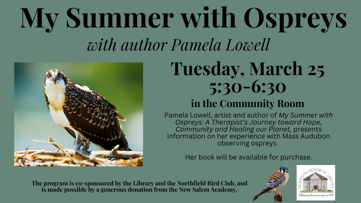 Northfield Public Library – Northfield Public Library Your Place