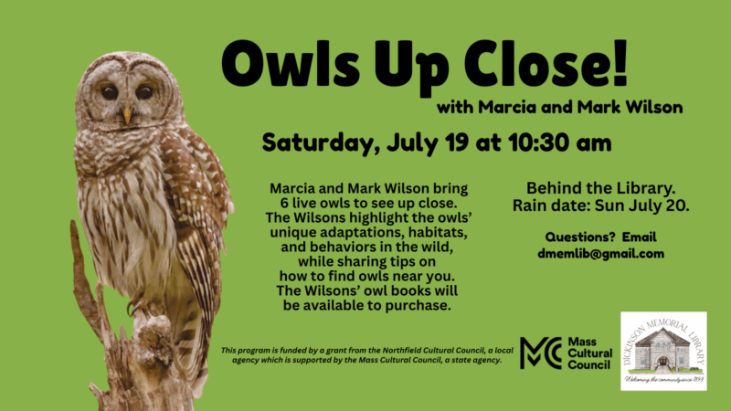 Northfield Public Library – Northfield Public Library Your Place